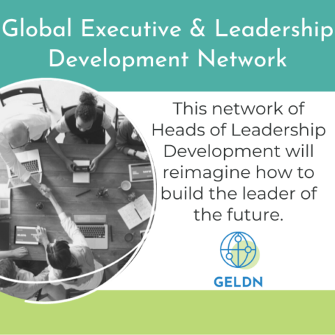 Global Executive & Leadership Development Network (GELDN) | Executive ...